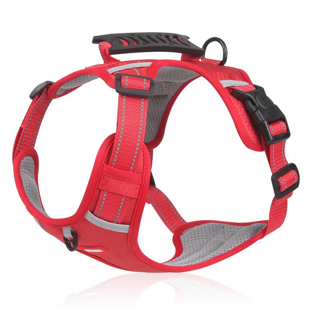 No-Pull Comfort Harness for Happy Dogs – Tambo Pet Mart
